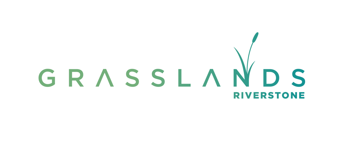 Our Work - Thirdegreeº